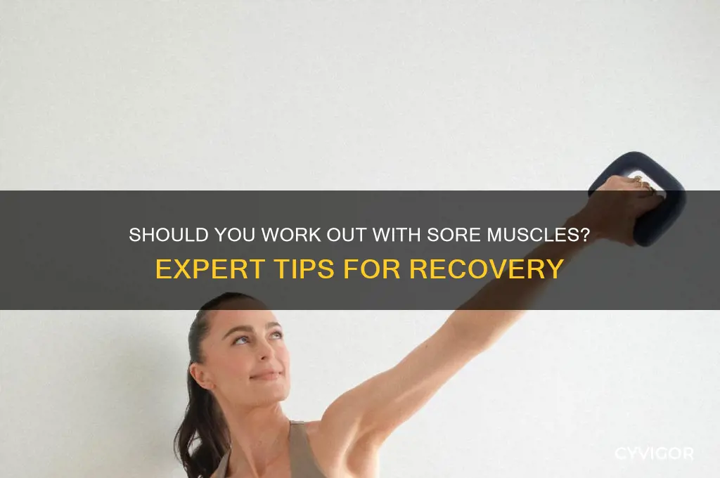 Should You Work Out With Sore Muscles? Expert Tips For Recovery | CyVigor
