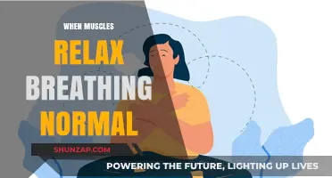 Relaxation Of Diaphragm And Intercostal Muscles: Understanding ...