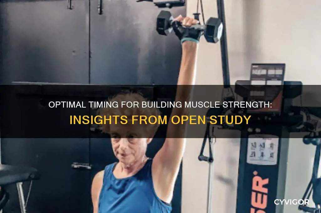 Optimal Timing For Building Muscle Strength: Insights From Open Study ...