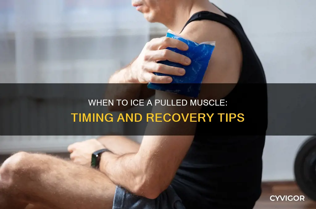 When To Ice A Pulled Muscle: Timing And Recovery Tips | CyVigor