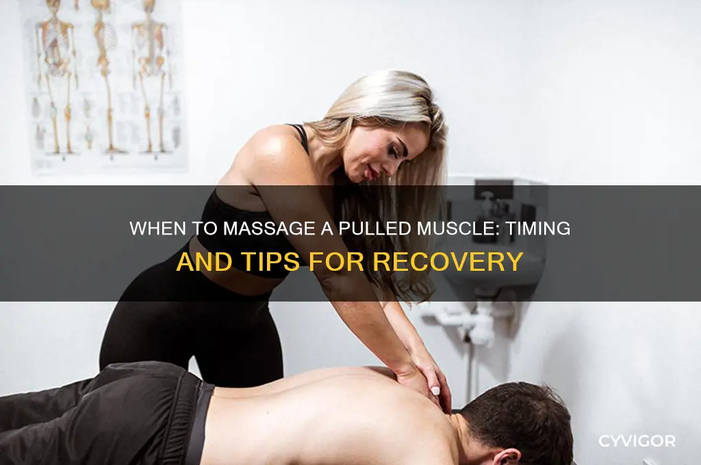 When To Massage A Pulled Muscle: Timing And Tips For Recovery | CyVigor