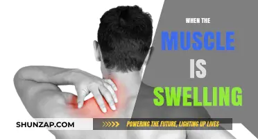 Stomach Muscles Locking Up: Understanding Abdominal Muscle Spasms | CyVigor