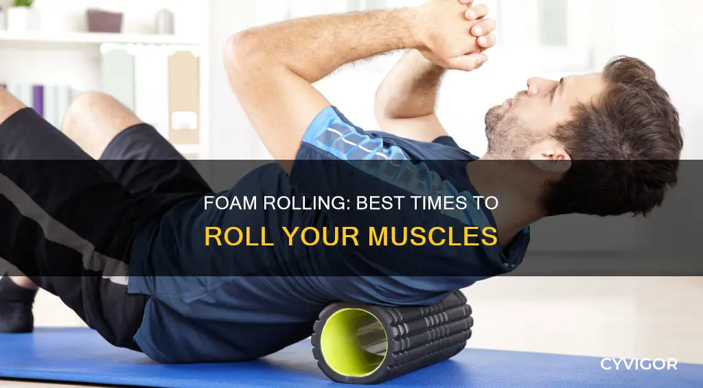 Foam Rolling: Best Times To Roll Your Muscles | CyVigor