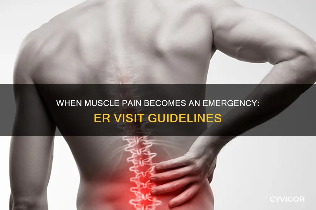 When Muscle Pain Becomes An Emergency: Er Visit Guidelines | CyVigor
