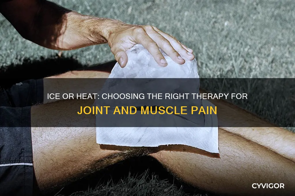 Ice Or Heat: Choosing The Right Therapy For Joint And Muscle Pain | CyVigor
