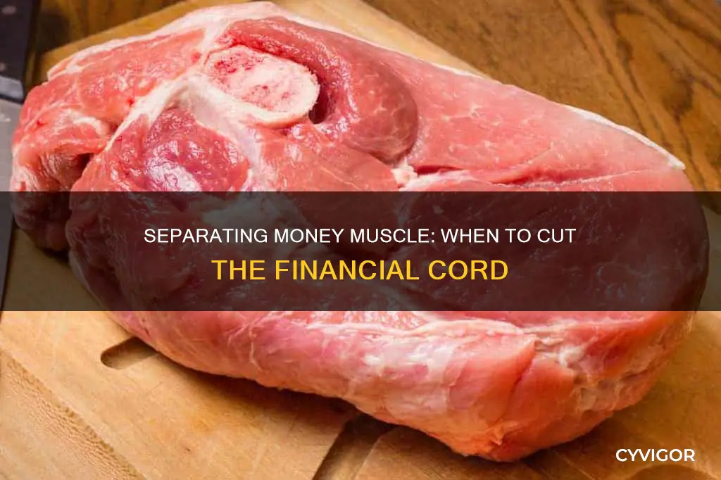 Separating Money Muscle: When To Cut The Financial Cord | CyVigor