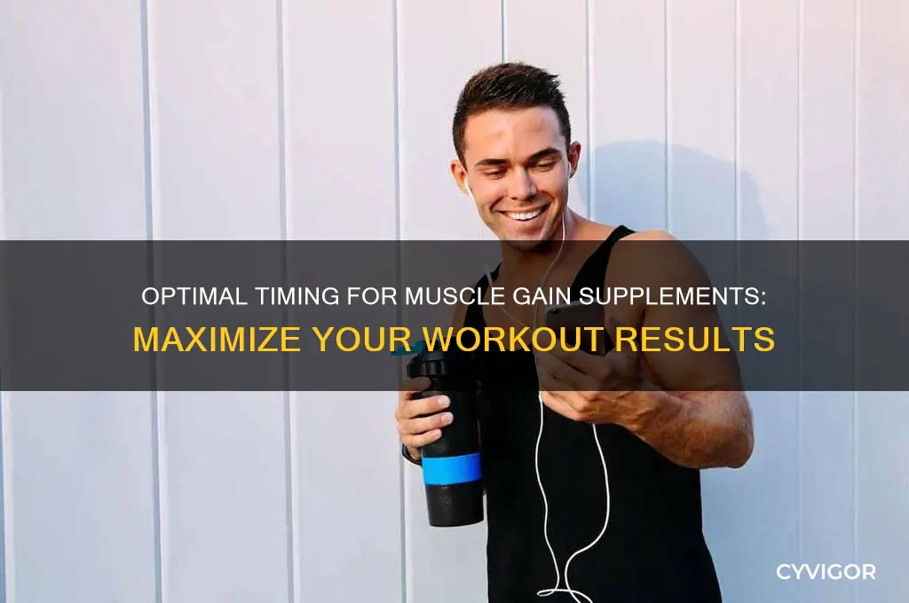 Optimal Timing For Muscle Gain Supplements: Maximize Your Workout ...