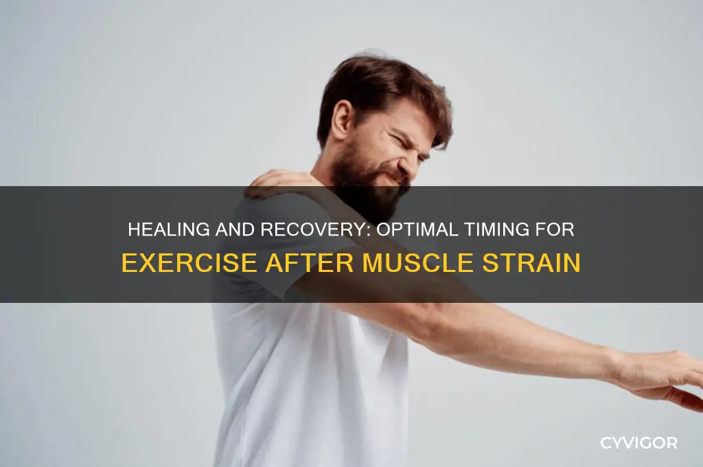 Healing And Recovery: Optimal Timing For Exercise After Muscle Strain ...