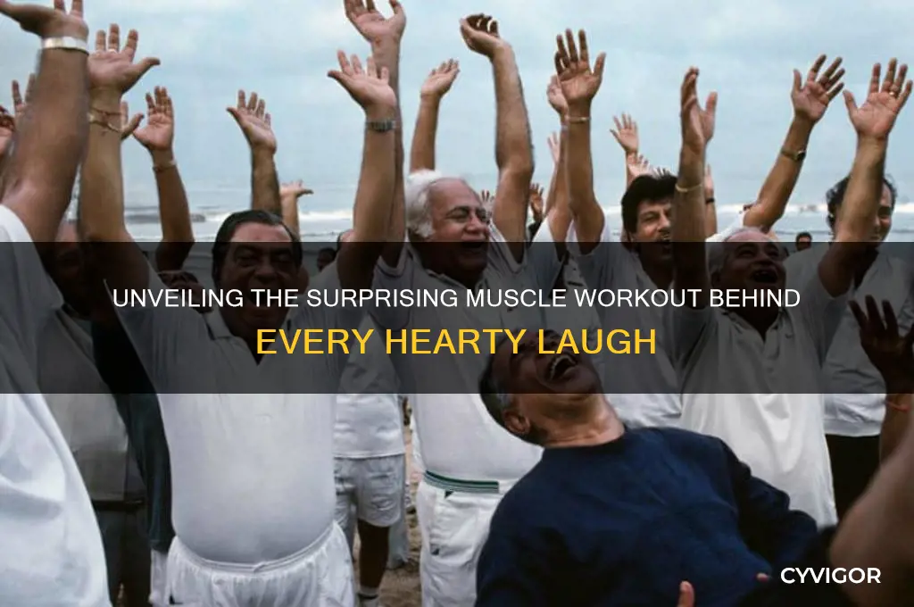 Unveiling The Surprising Muscle Workout Behind Every Hearty Laugh | CyVigor