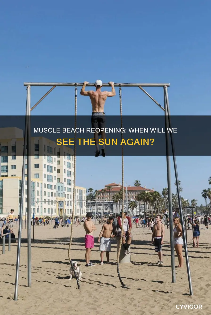 Muscle Beach Reopening: When Will We See The Sun Again? | CyVigor