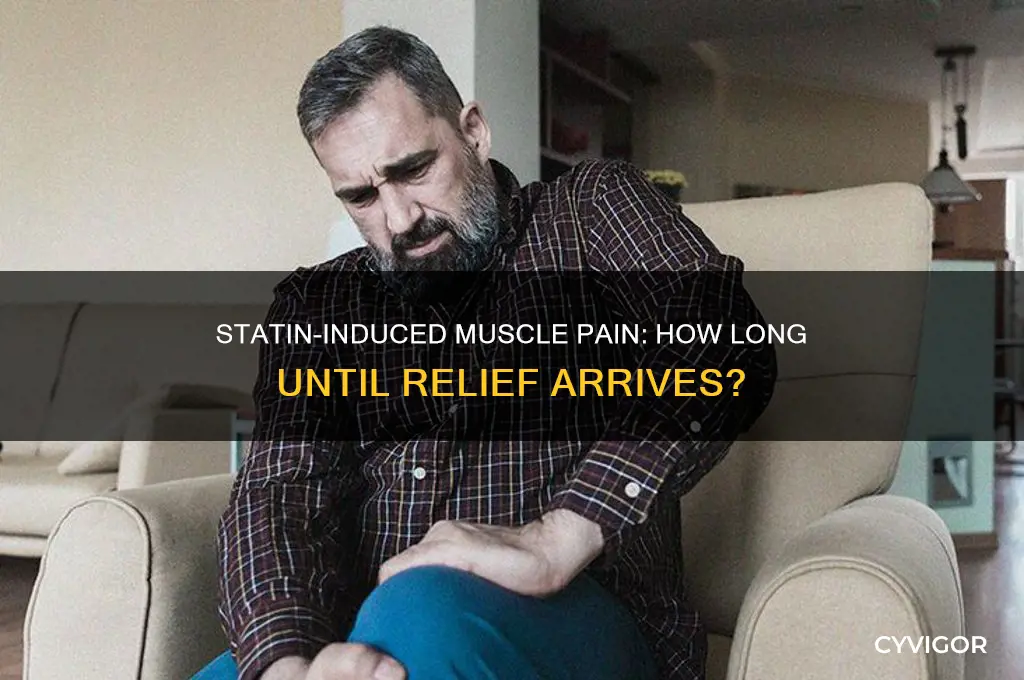 Statin-Induced Muscle Pain: How Long Until Relief Arrives? | CyVigor
