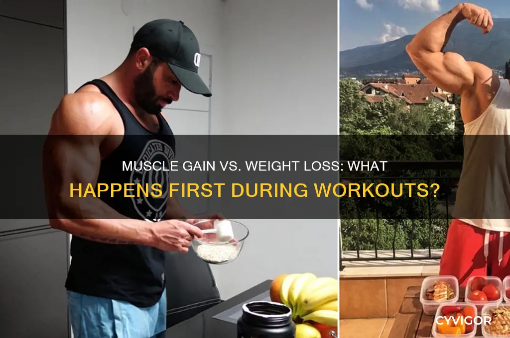 Muscle Gain Vs. Weight Loss: What Happens First During Workouts? | CyVigor