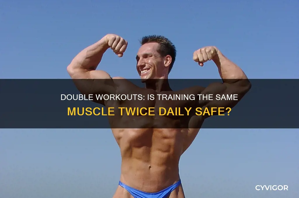 Double Workouts: Is Training The Same Muscle Twice Daily Safe? | CyVigor