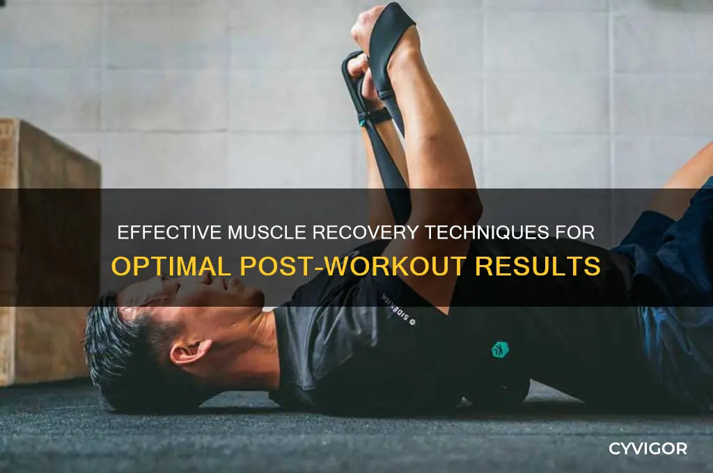 Effective Muscle Recovery Techniques For Optimal Post-Workout Results ...