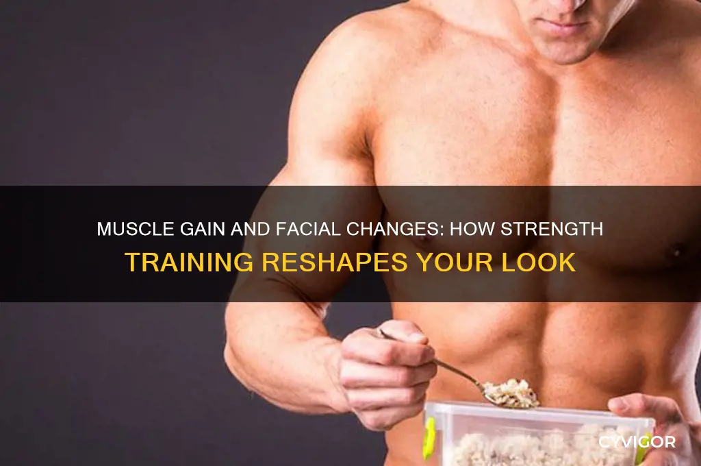 Muscle Gain And Facial Changes: How Strength Training Reshapes Your ...