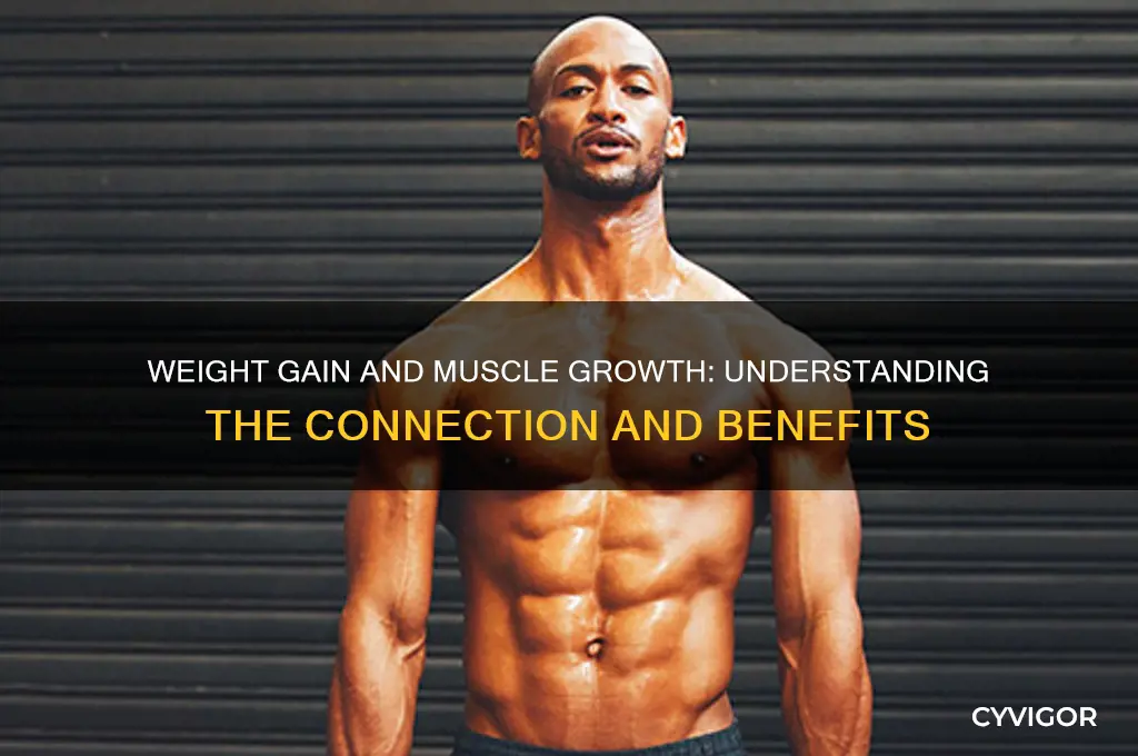 Weight Gain And Muscle Growth: Understanding The Connection And ...