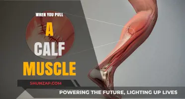 Heat Or Ice: The Best Remedy For Pulled Muscles Explained | CyVigor