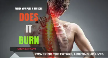 Heat Or Ice: The Best Remedy For Pulled Muscles Explained | CyVigor