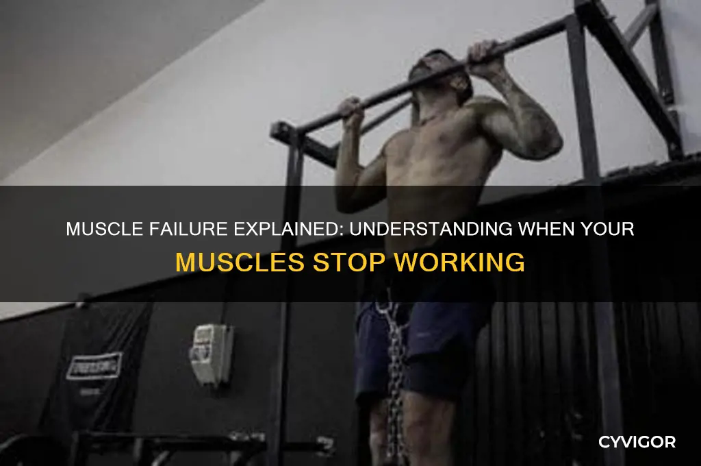 Muscle Failure Explained: Understanding When Your Muscles Stop Working ...