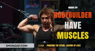 Understanding Muscle Insertion: Where Muscles Attach And Why It Matters ...