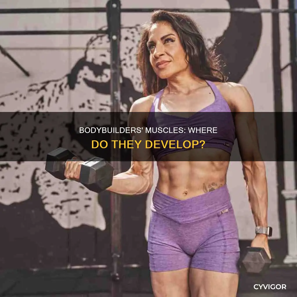 Bodybuilders' Muscles: Where Do They Develop? | CyVigor
