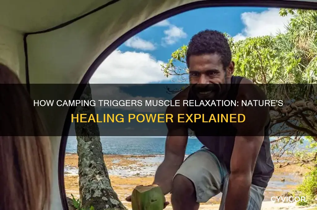 How Camping Triggers Muscle Relaxation: Nature's Healing Power ...
