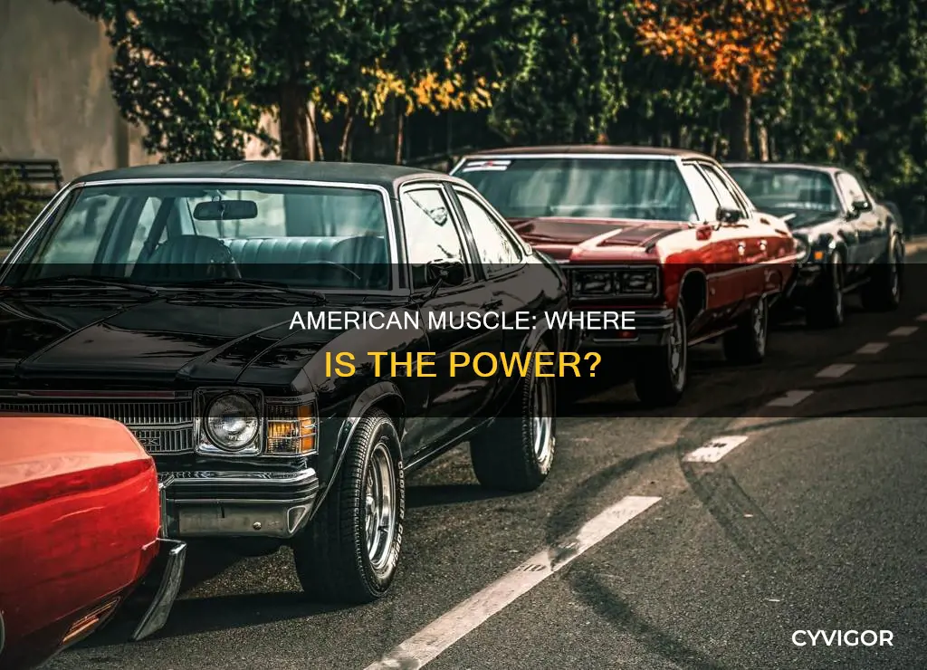 American Muscle: Where Is The Power? | CyVigor