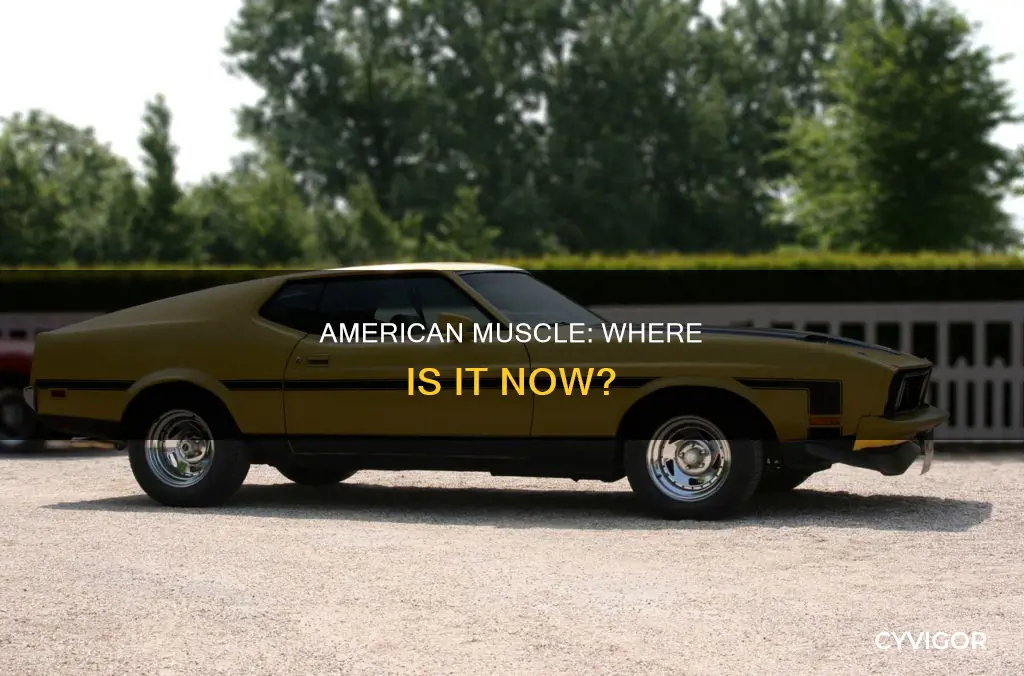 American Muscle: Where Is It Now? | CyVigor