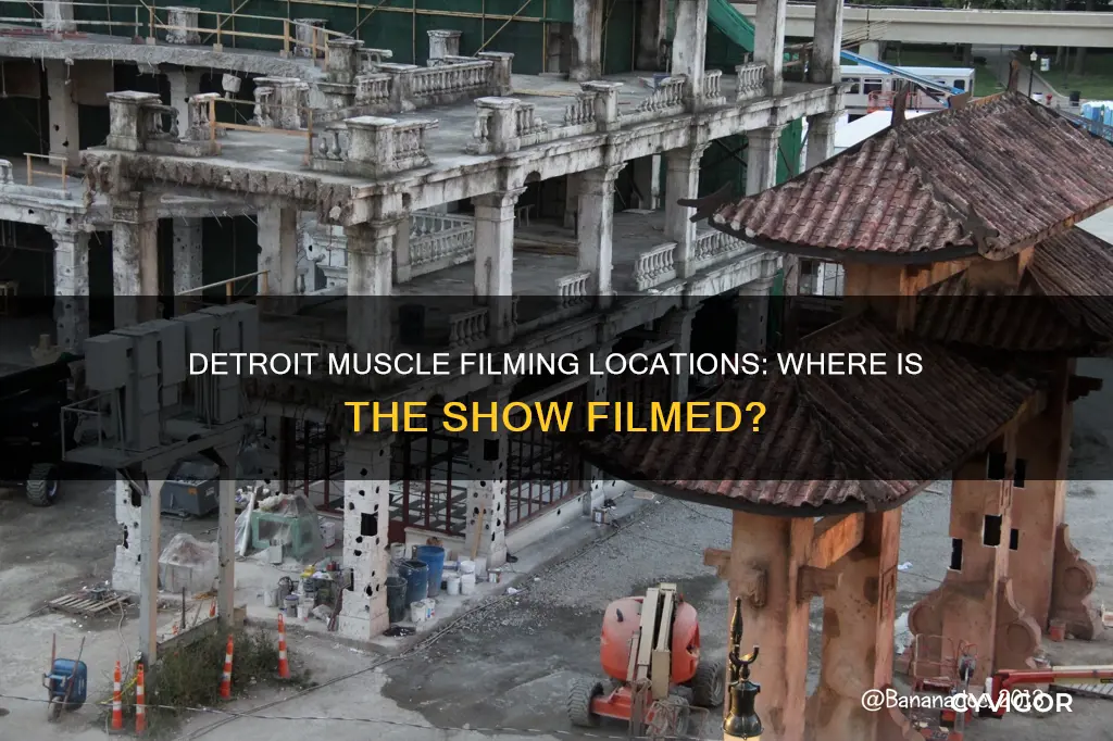 Detroit Muscle Filming Locations: Where Is The Show Filmed? | CyVigor