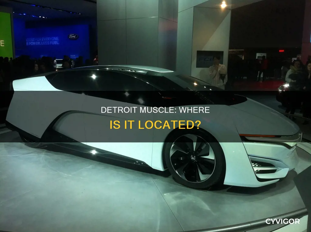 Detroit Muscle: Where Is It Located? | CyVigor