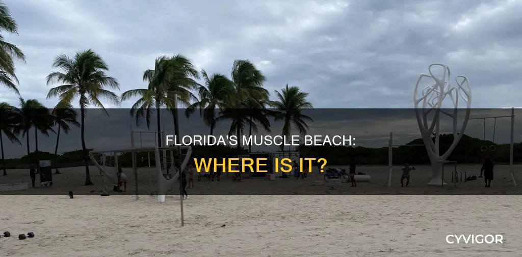 Florida's Muscle Beach: Where Is It? | CyVigor