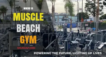 Muscle Insertion: Where Are Muscles Attached To Bones? | CyVigor