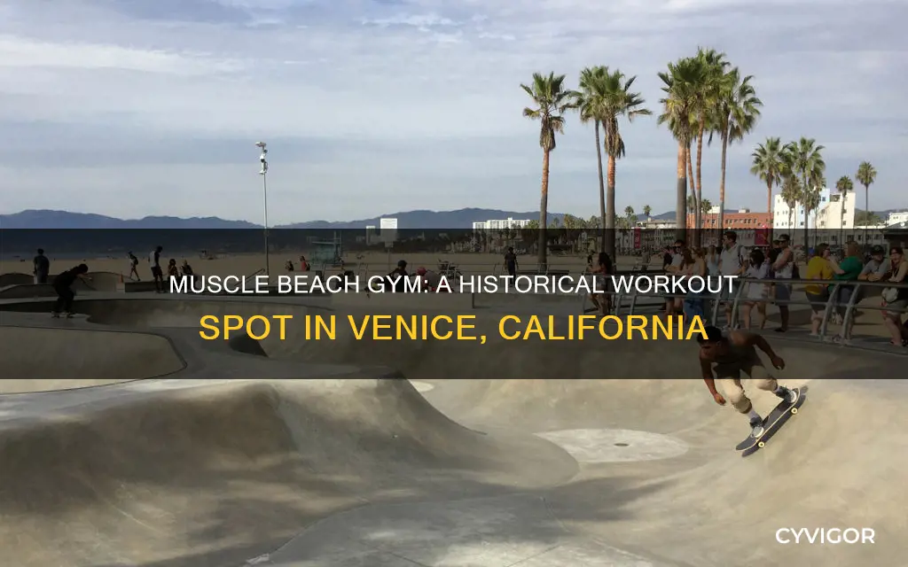 Muscle Beach Gym: A Historical Workout Spot In Venice, California | CyVigor
