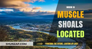 The Bicep Muscle: Location And Anatomy Explained | CyVigor