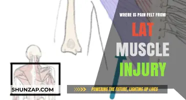 Pec Muscle Injury Pain: Where It's Felt And How To Manage It | CyVigor