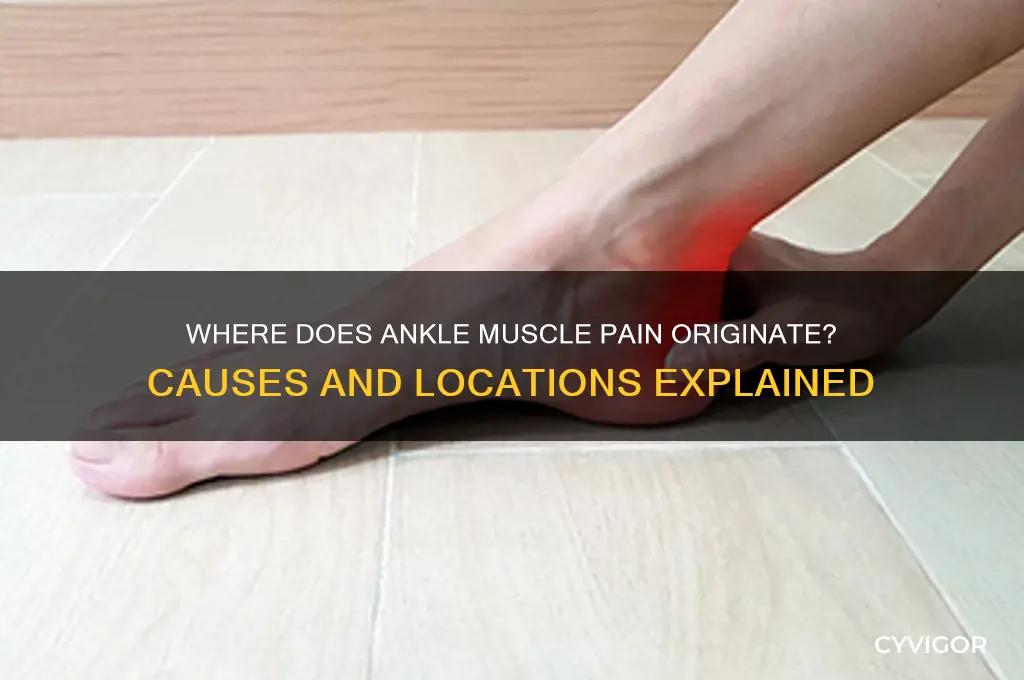 Where Does Ankle Muscle Pain Originate? Causes And Locations Explained ...