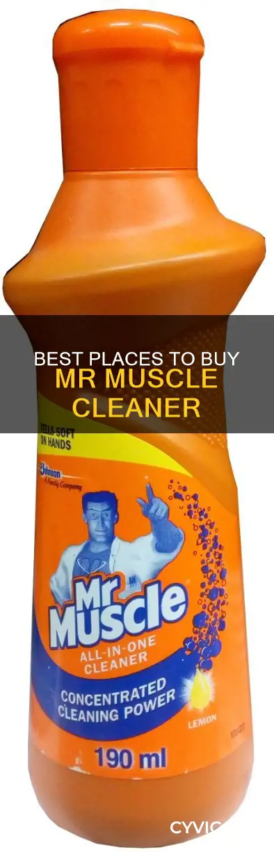 Best Places To Buy Mr Muscle Cleaner | CyVigor