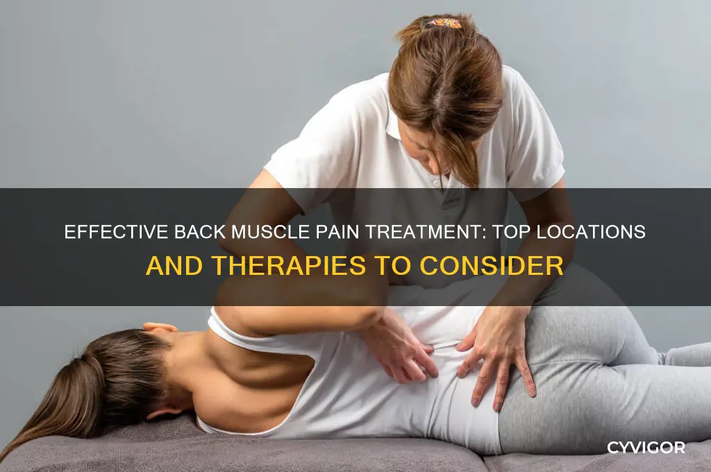 Effective Back Muscle Pain Treatment: Top Locations And Therapies To ...