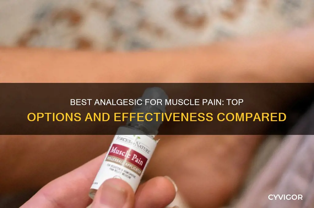 Best Analgesic For Muscle Pain: Top Options And Effectiveness Compared ...
