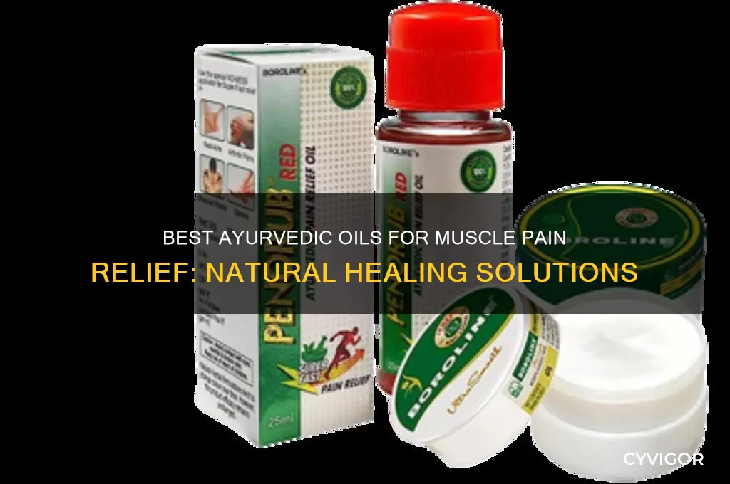 Best Ayurvedic Oils For Muscle Pain Relief: Natural Healing Solutions ...