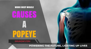 Understanding Diseases Leading To Interosseous Muscle Atrophy And ...