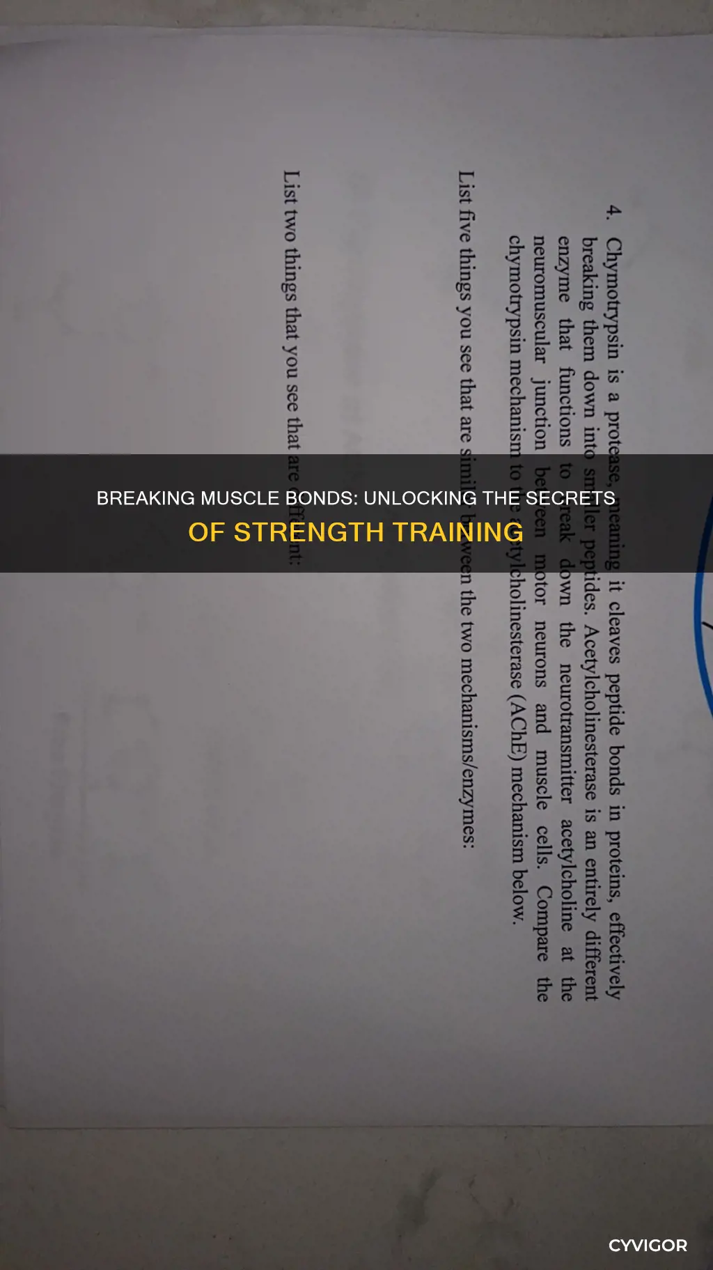 Breaking Muscle Bonds: Unlocking The Secrets Of Strength Training | CyVigor