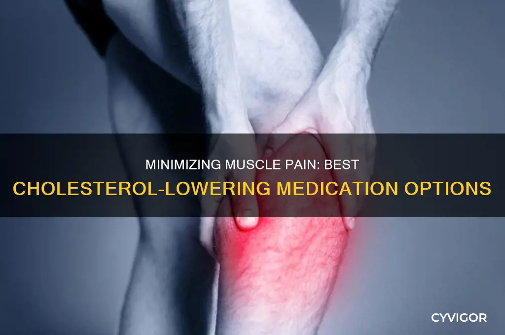 Minimizing Muscle Pain: Best Cholesterol-Lowering Medication Options ...