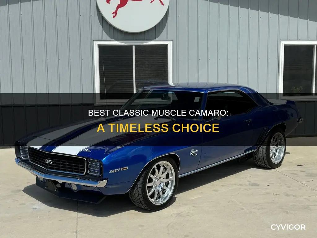 Best Classic Muscle Camaro: A Timeless Choice | CyVigor