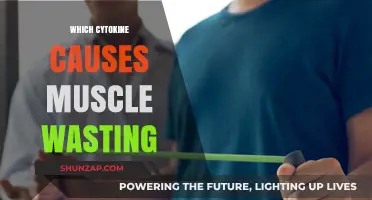 Understanding Diseases Leading To Interosseous Muscle Atrophy And ...