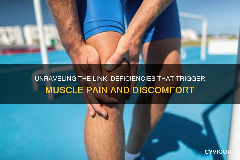 Unraveling The Link: Deficiencies That Trigger Muscle Pain And ...