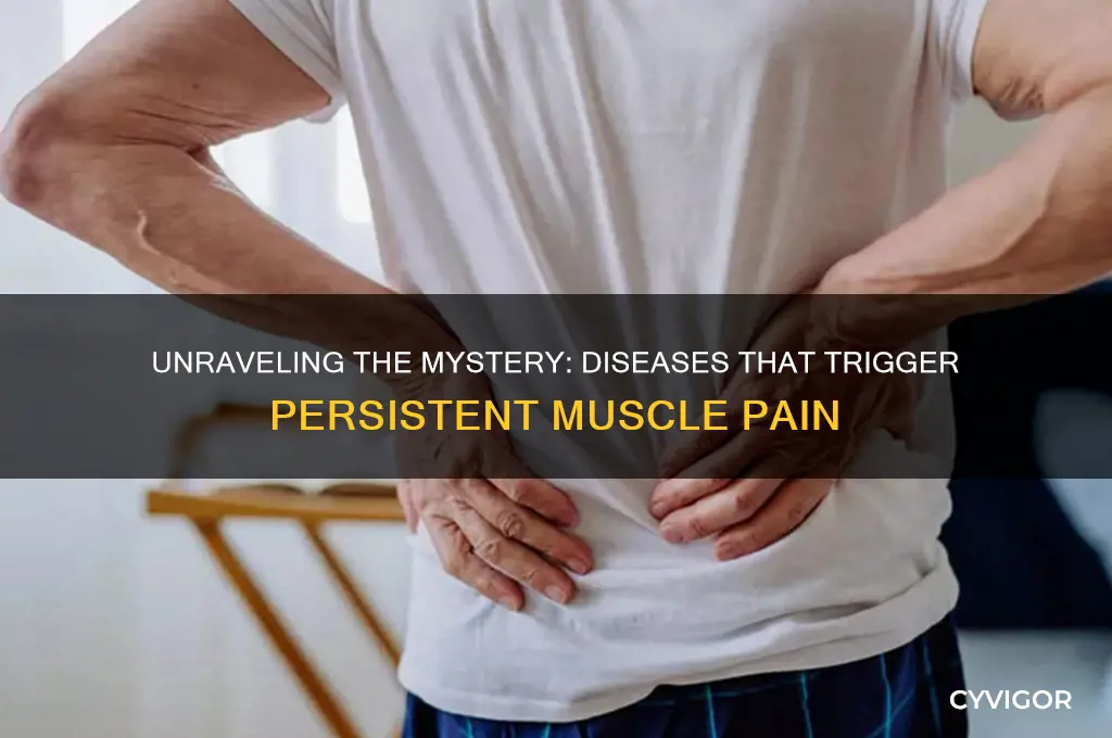 Unraveling The Mystery: Diseases That Trigger Persistent Muscle Pain ...