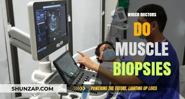 What Are The Tissues That Connect Muscle To Bone? | CyVigor