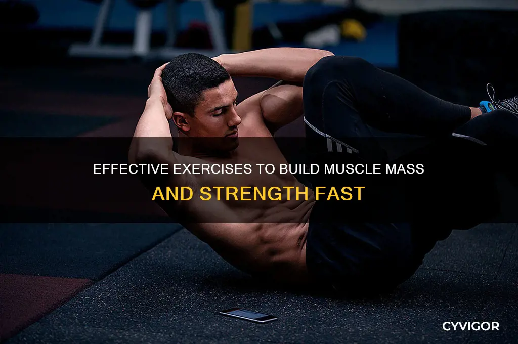 Effective Exercises To Build Muscle Mass And Strength Fast | CyVigor
