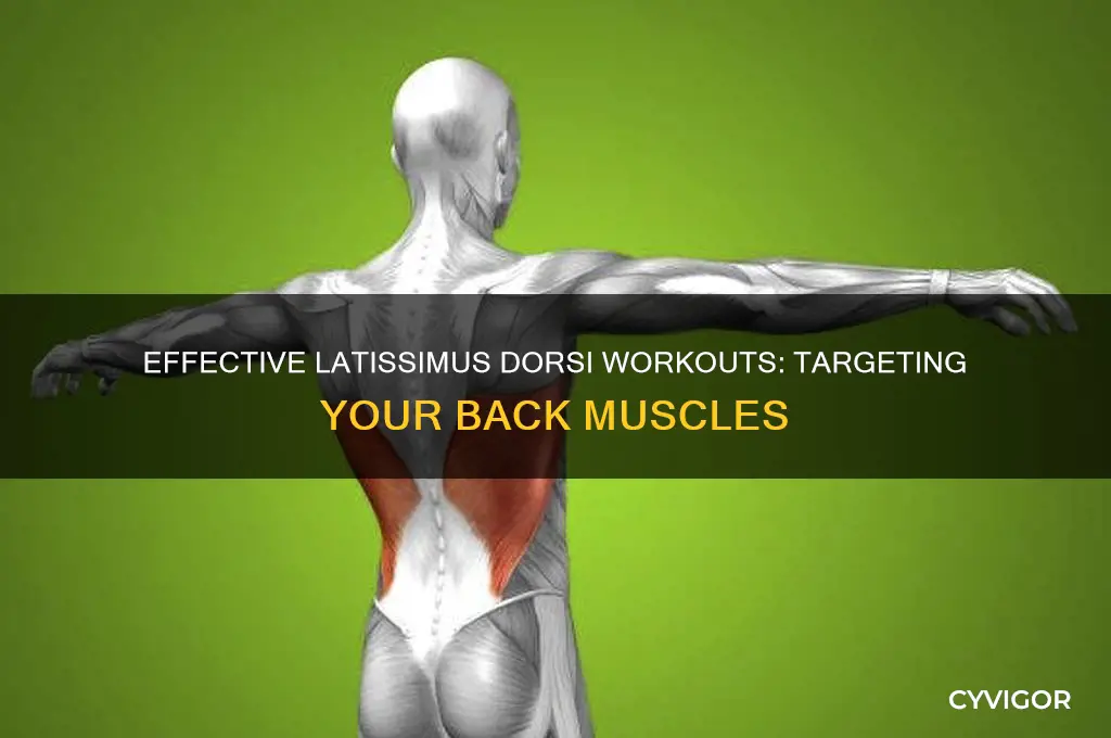 Effective Latissimus Dorsi Workouts: Targeting Your Back Muscles | CyVigor
